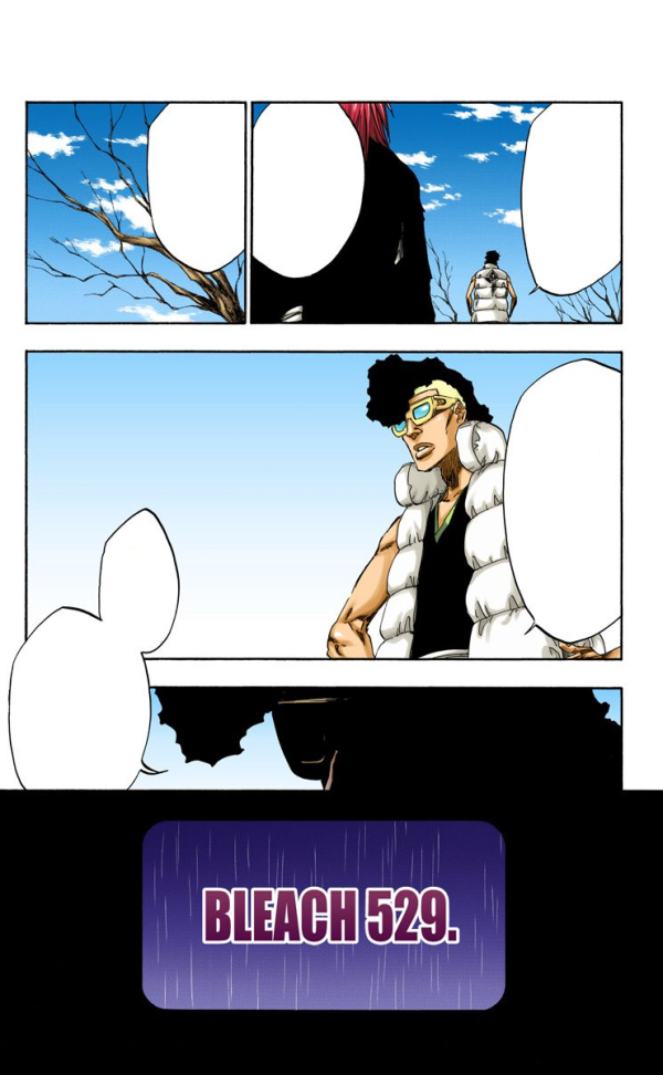 Bleach #529 Reviews
