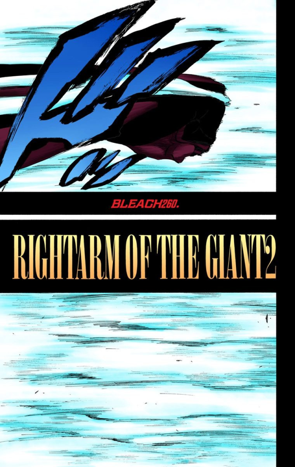 Bleach #260 Reviews