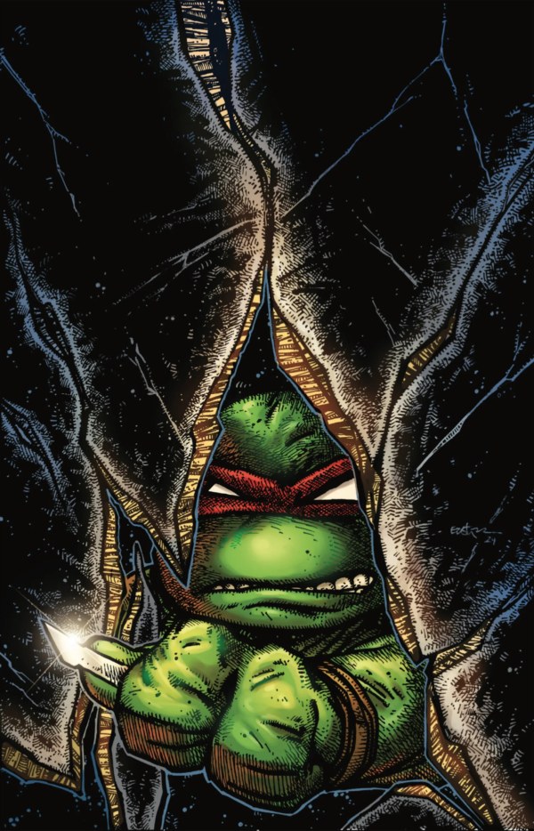 Teenage Mutant Ninja Turtles #1 Preview