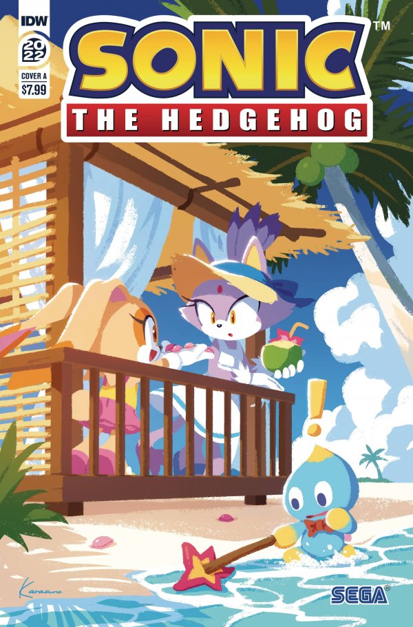 Marine the Raccoon (Sonic the Hedgehog) - IDW Publishing