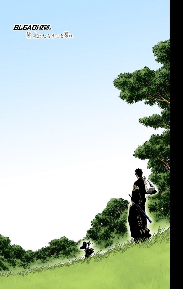 Kaien Shiba (Bleach) - VIZ Media