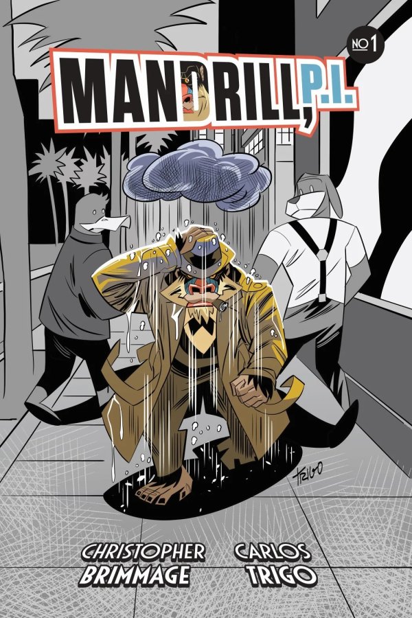 Christopher Brimmage - Comic Book Creator