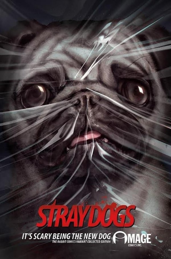 Stray Dogs TP Reviews