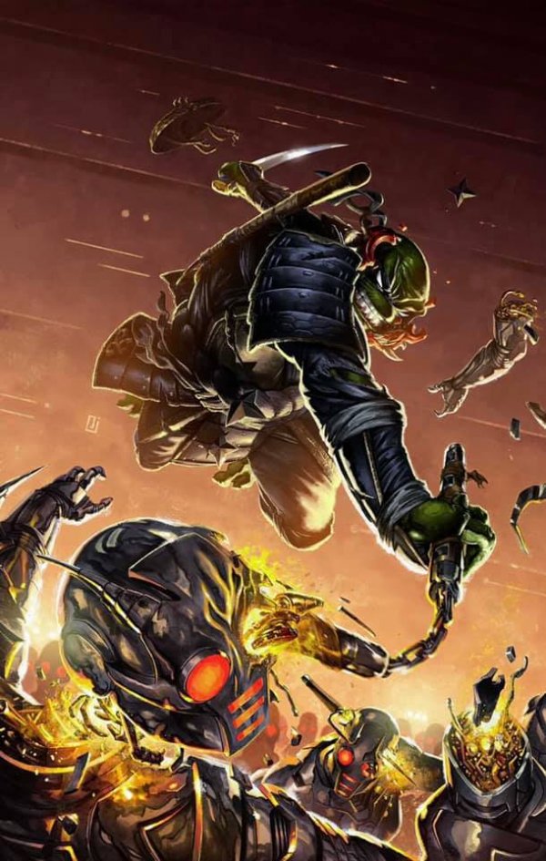 Teenage Mutant Ninja Turtles: The Last Ronin #4 Reviews