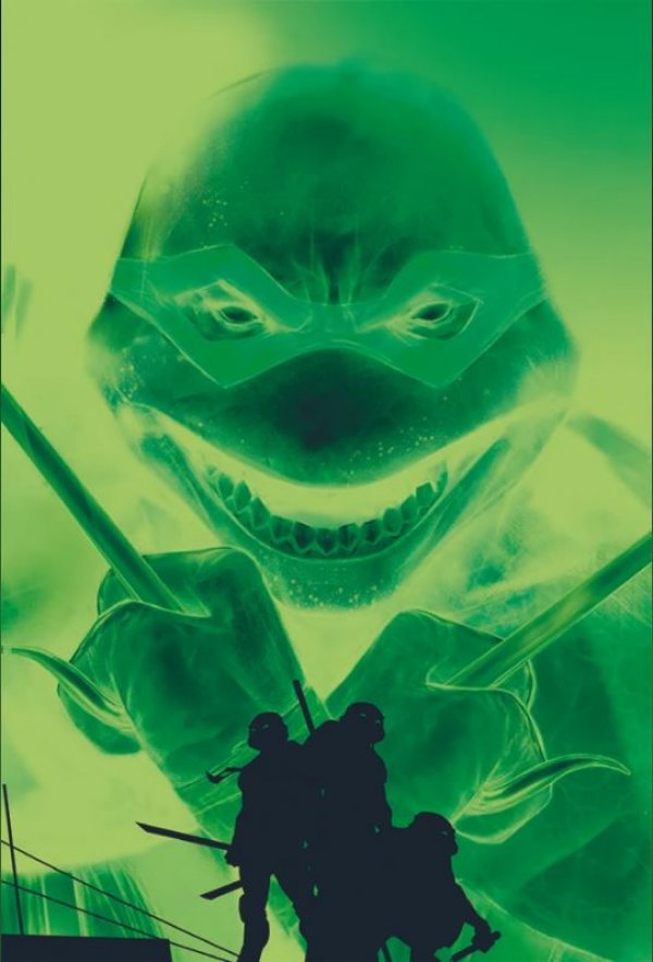 Ultimate TMNT Box Set (Torpedo Comics) - Oliver Cover Reviews