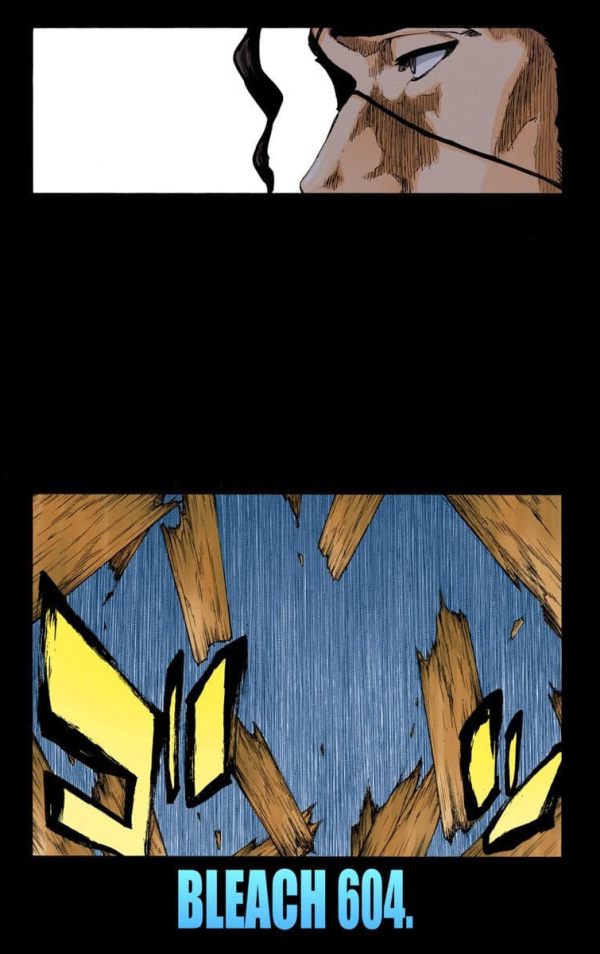 Bleach #604 Reviews