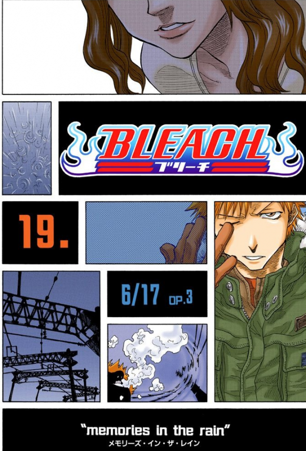 Bleach #19 Reviews