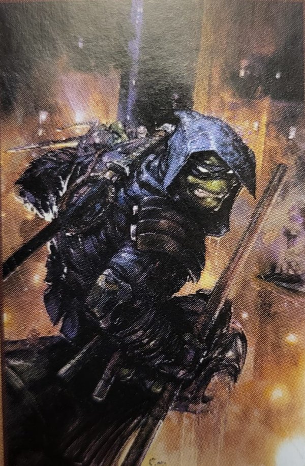 Teenage Mutant Ninja Turtles: The Last Ronin - The Lost Years #1 Reviews