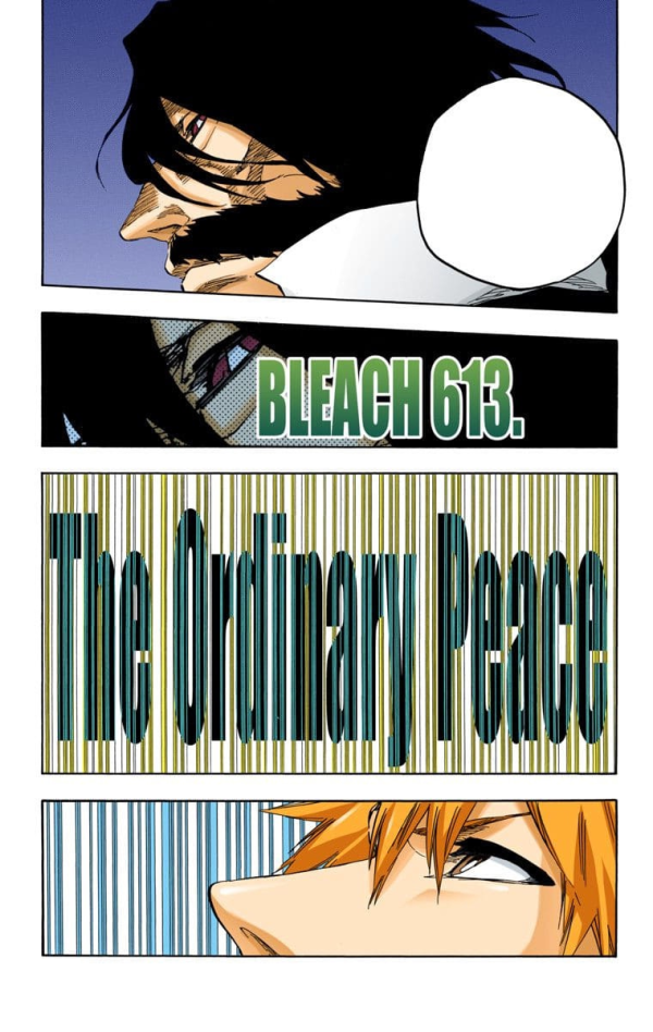 Kiyone Kotetsu (Bleach) - Shueisha