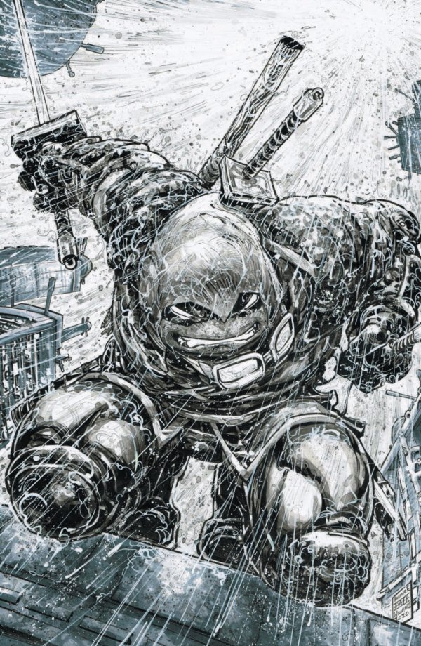 Teenage Mutant Ninja Turtles: The Last Ronin #1 Reviews