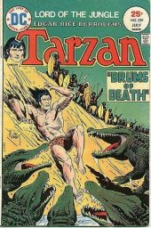 Tarzan from DC Comics