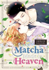Matcha Made in Heaven Vol. 11 TP Preview