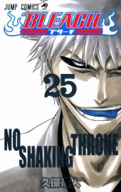 Bleach Vol. 25 TP Reviews