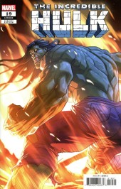 The Incredible Hulk #19 Reviews