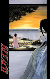 Bleach #179 Reviews