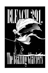 Bleach #391 Reviews
