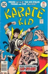 Karate Kid from DC Comics