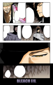 Bleach #618 Reviews