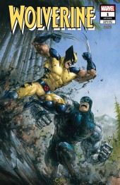 Wolverine from Marvel Comics