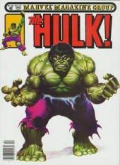 The Rampaging Hulk from Marvel Comics