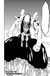 Bleach #315.8 Reviews