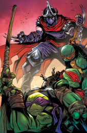 Teenage Mutant Ninja Turtles from IDW Publishing