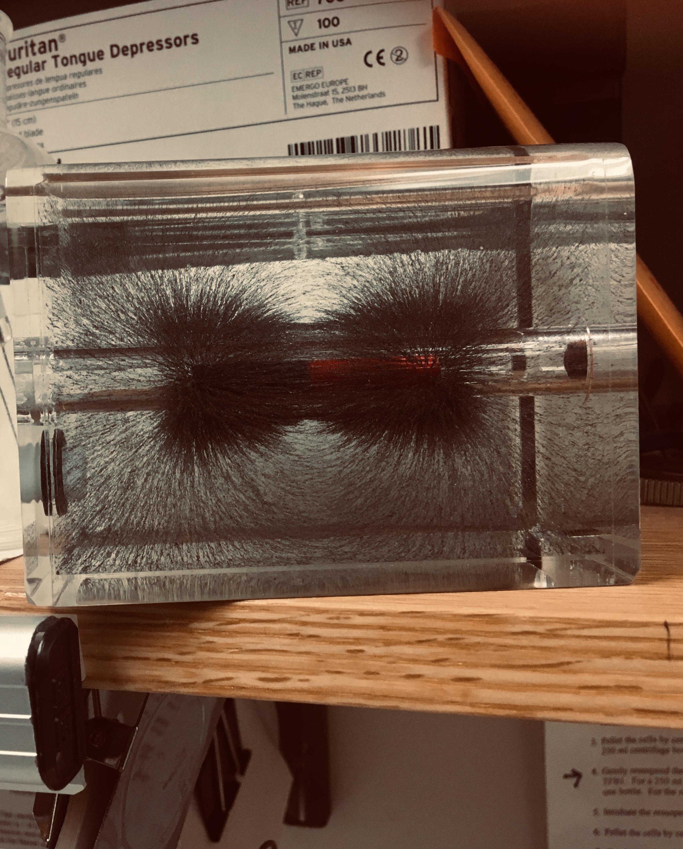 What's On Your Lab Shelf? | GoldBio