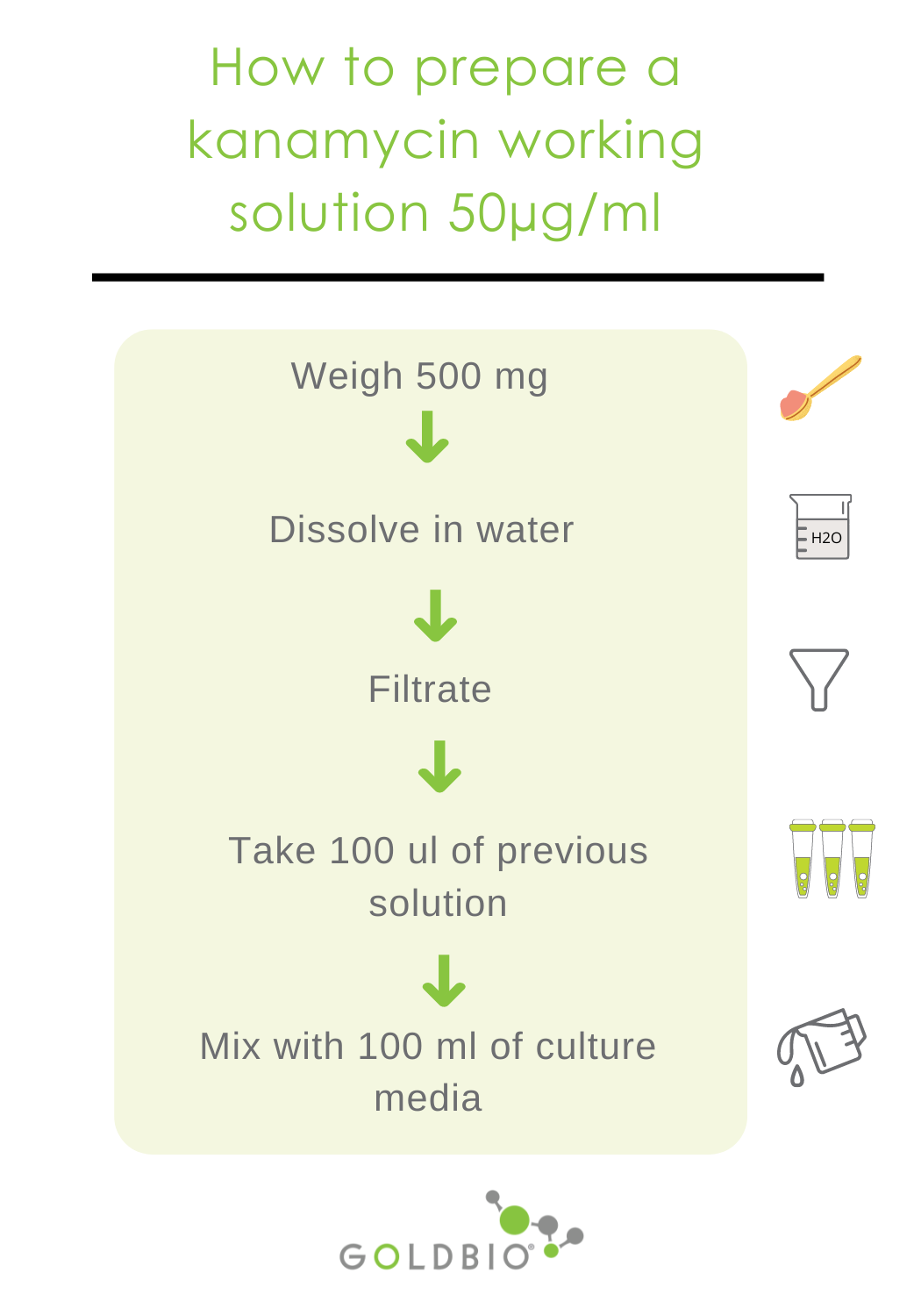 Overview: Types of PCR Probes | GoldBio