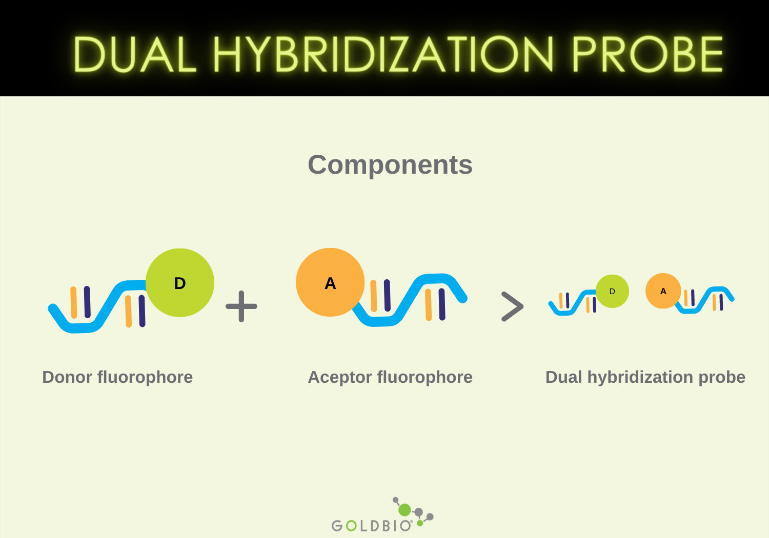 Overview: Types of PCR Probes | GoldBio