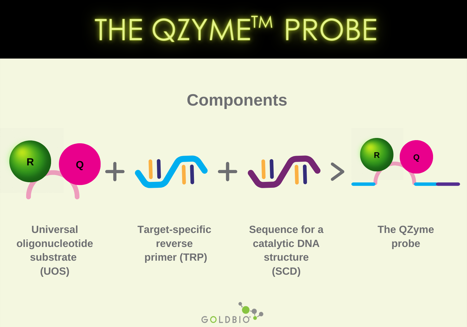 Overview: Types of PCR Probes | GoldBio
