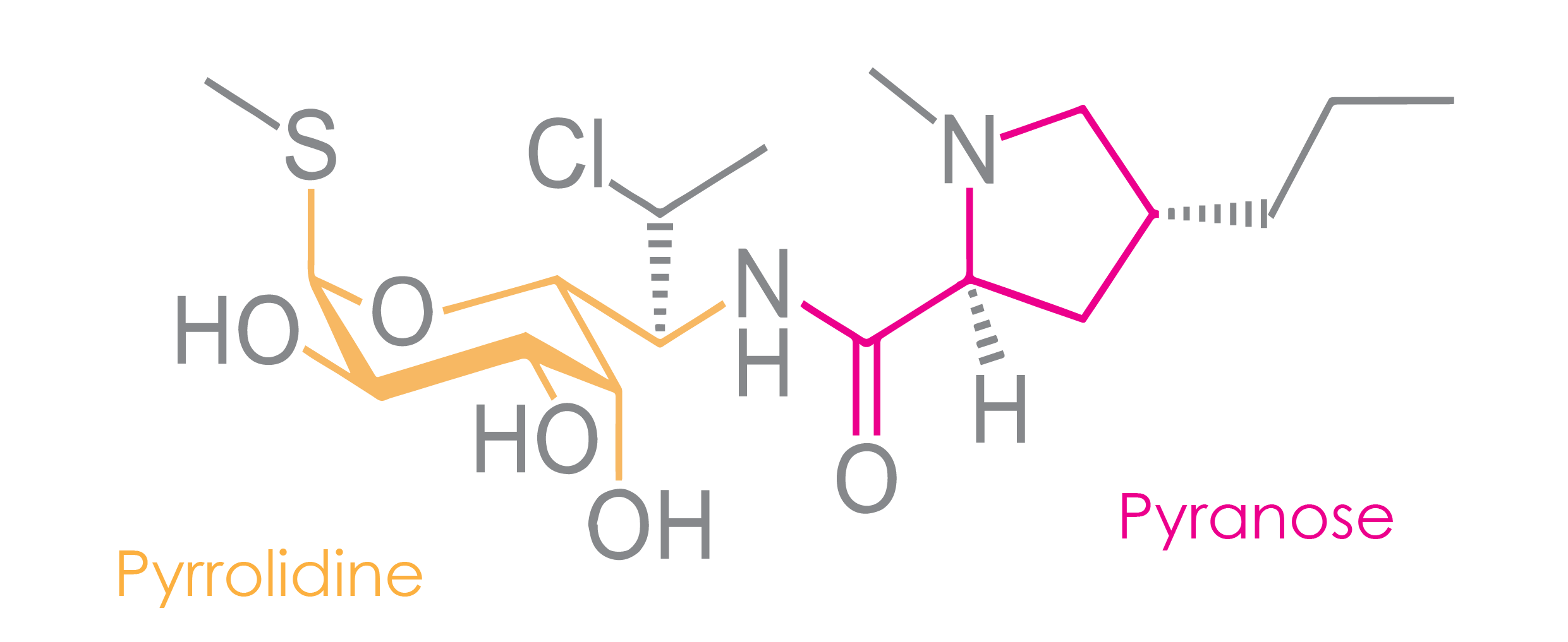 Antibiotics and the Microbiome | GoldBio