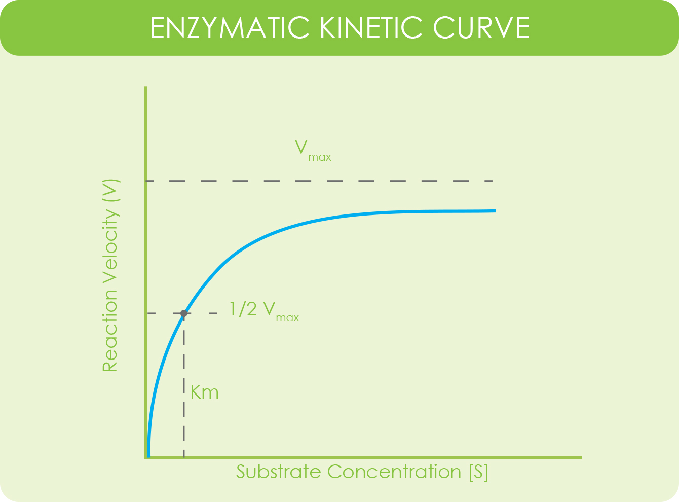 The Importance of Kinetic Curves in Bioluminescence Imaging | GoldBio
