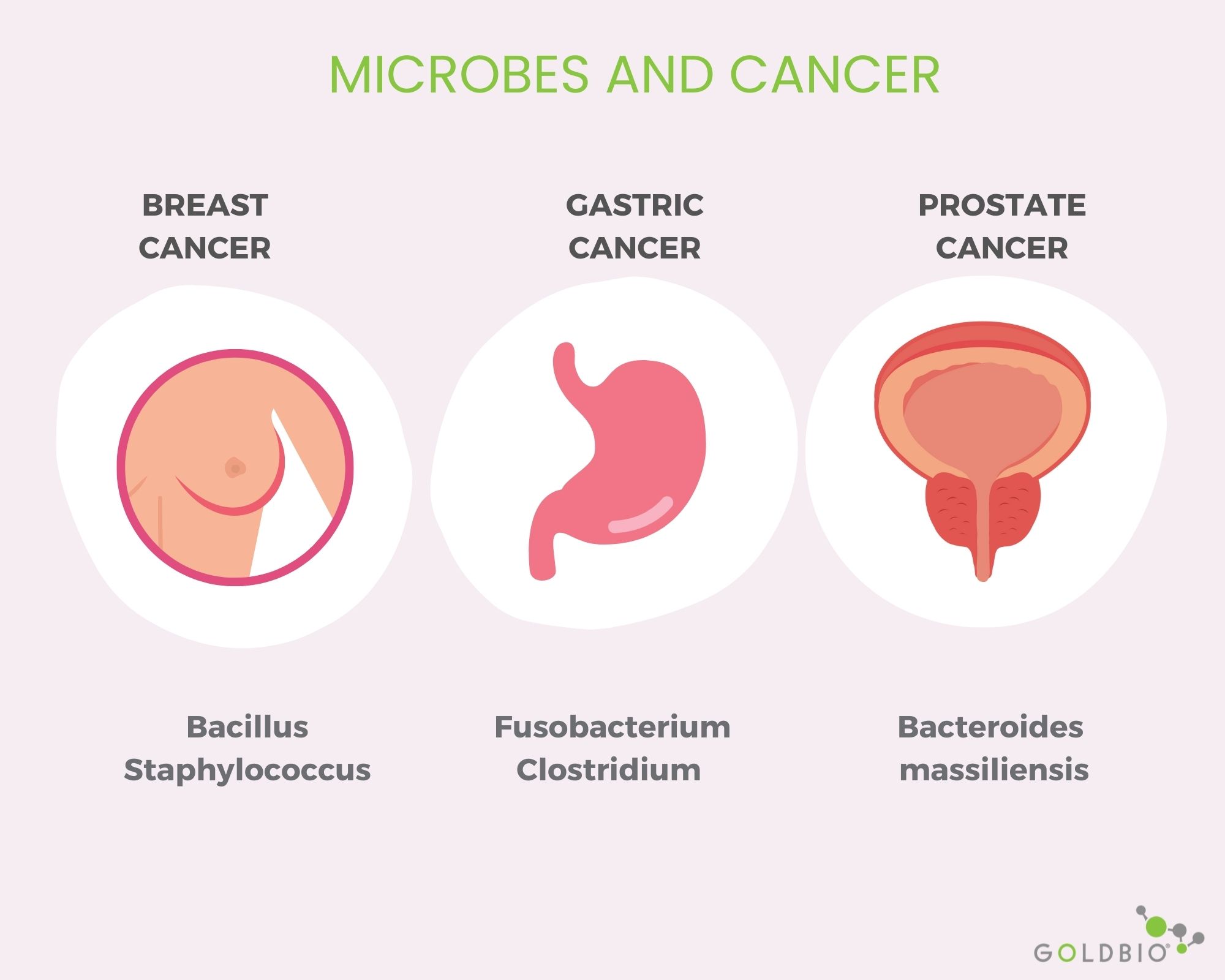 Human Infections and the Microbiome | GoldBio