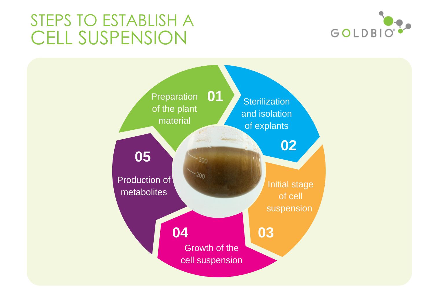 What Is Cell Line Suspension at Matthew Alvarez blog