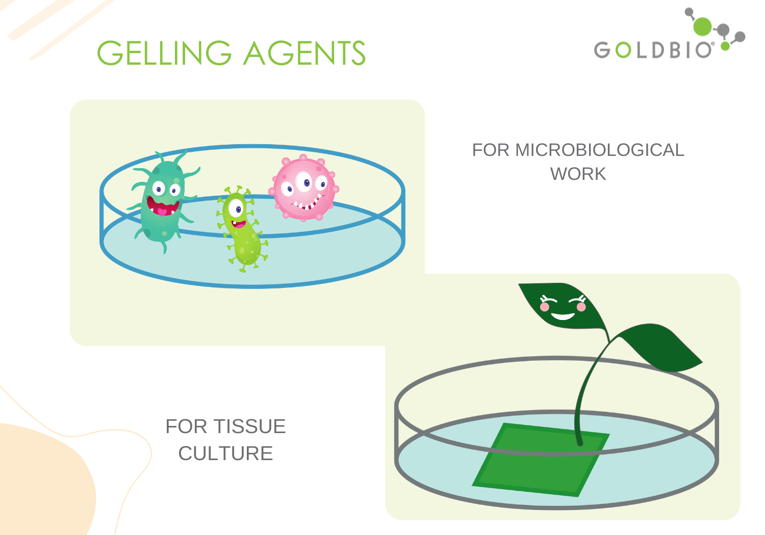 Media Gelling Agents Overview | GoldBio