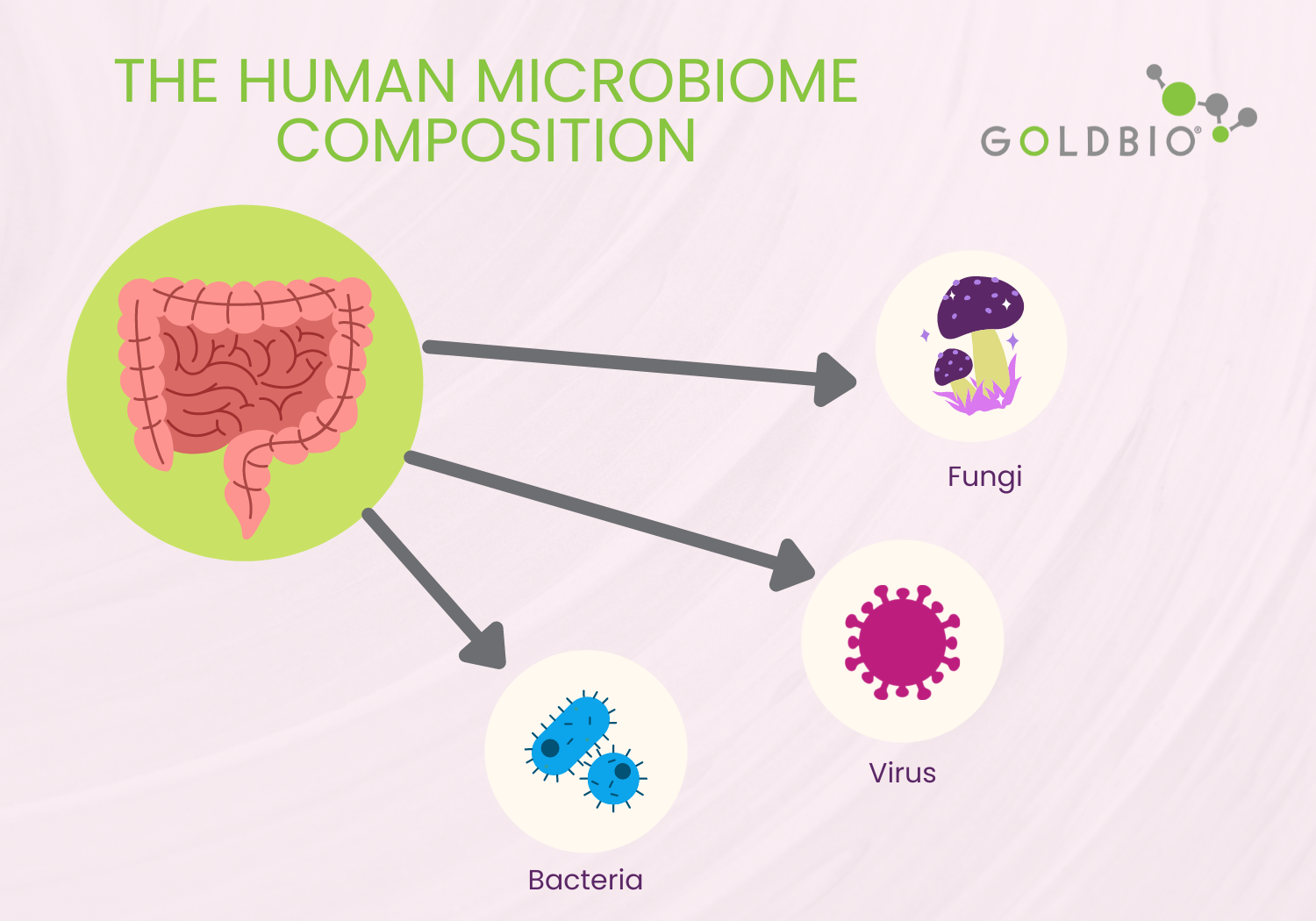 Human Infections and the Microbiome | GoldBio