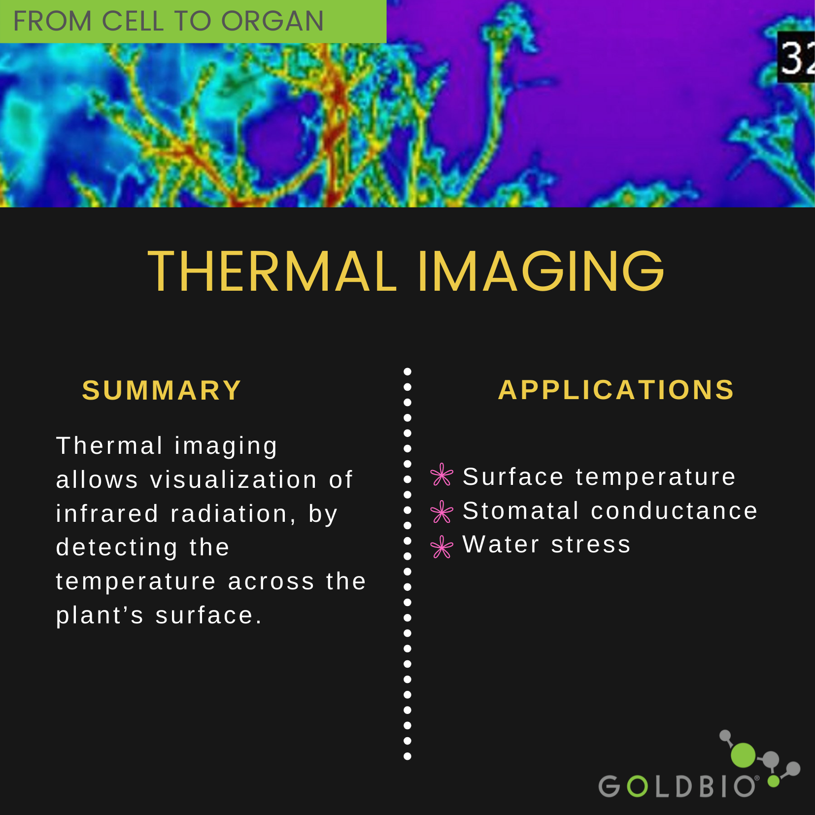 Plant Imaging | GoldBio
