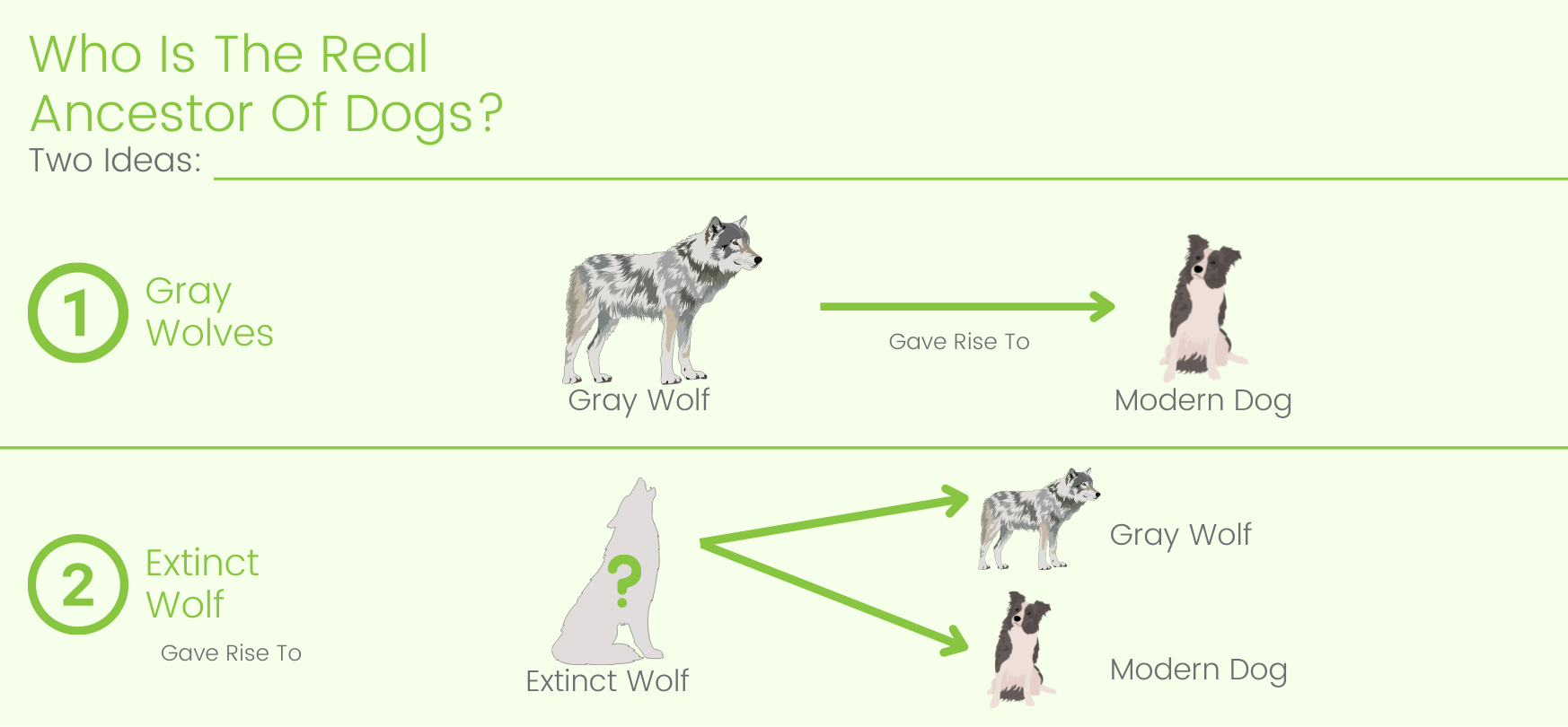 The Dog-Human Bond: We Wouldn’t Be Who We Are Without Them | GoldBio