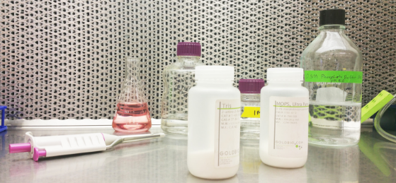 What is a Biological Buffer and How to Choose the Best Buffer for Your ...