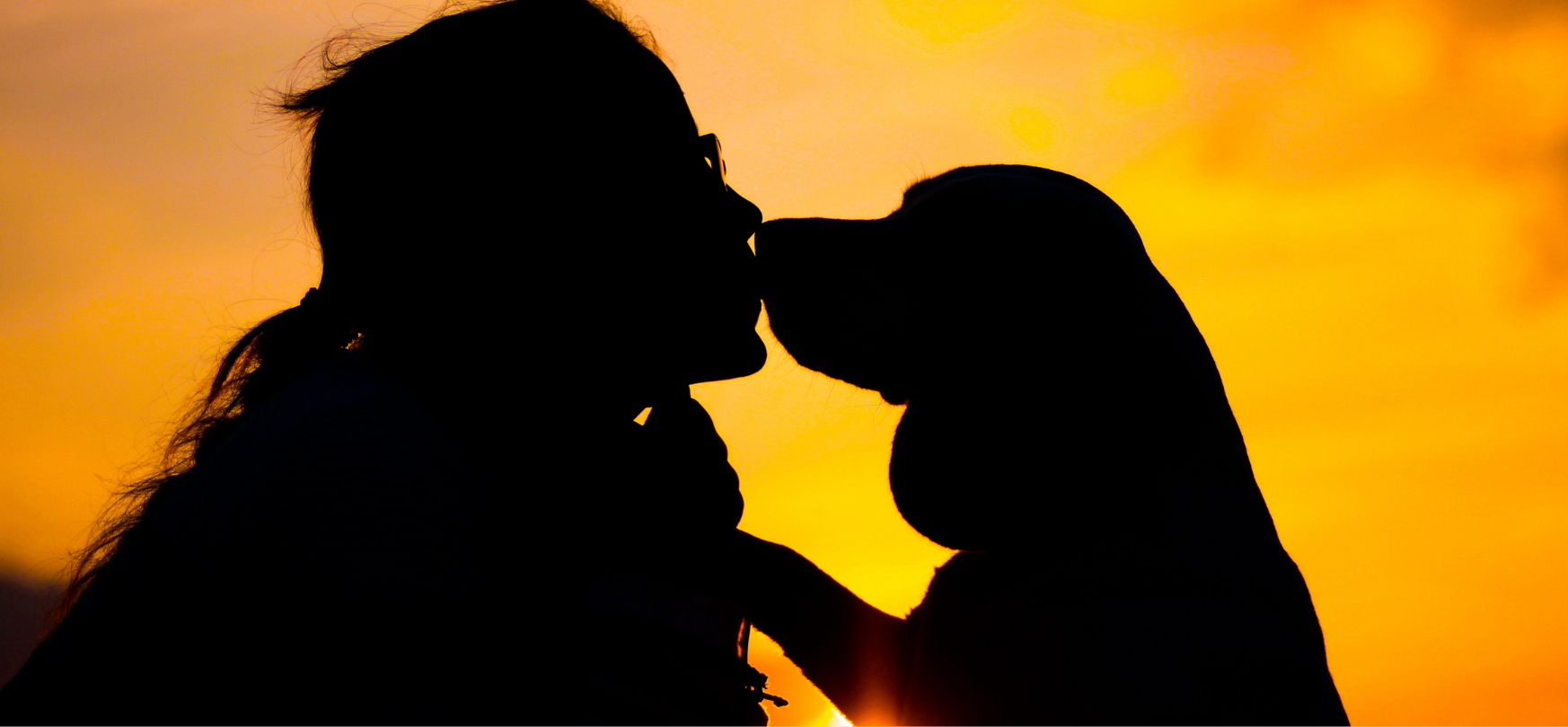 The Dog-Human Bond: We Wouldn’t Be Who We Are Without Them | GoldBio