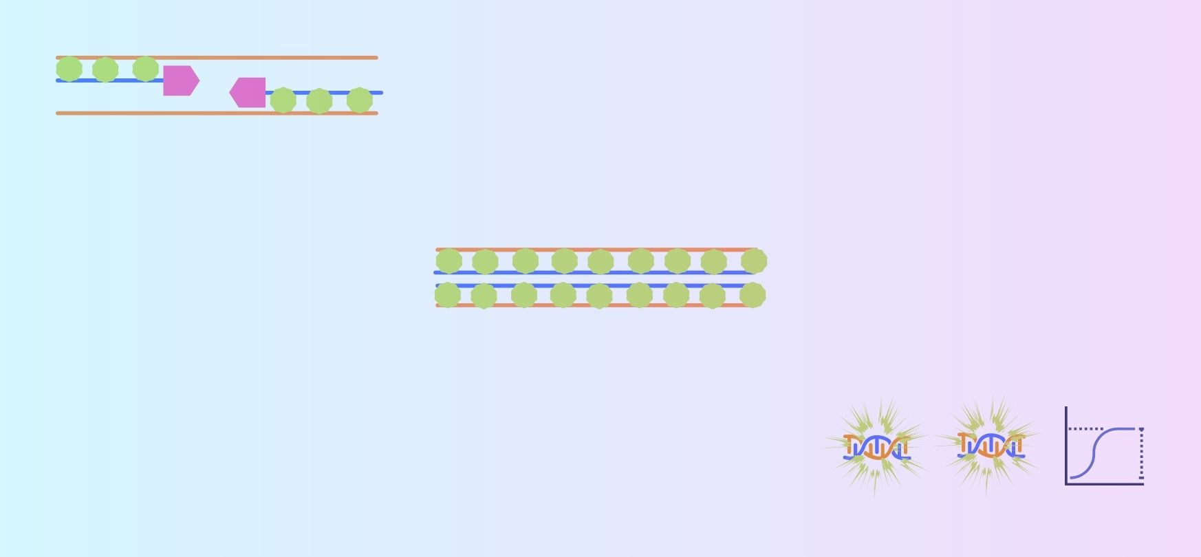 Overview About How To Do RT-qPCR | GoldBio