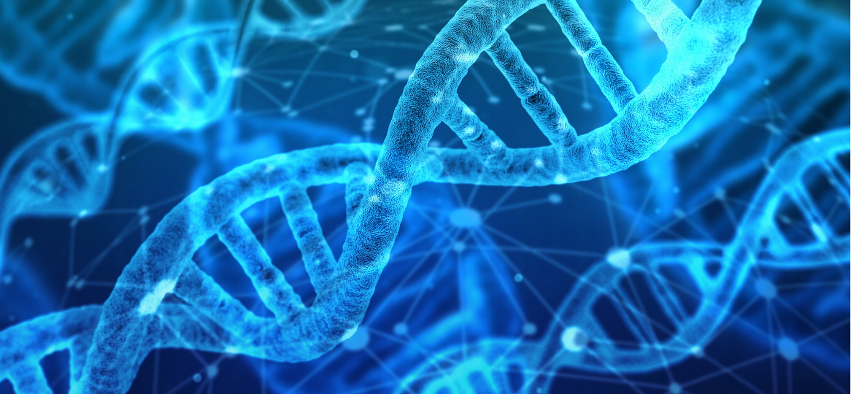 How To Interpret RT-qPCR Results | GoldBio