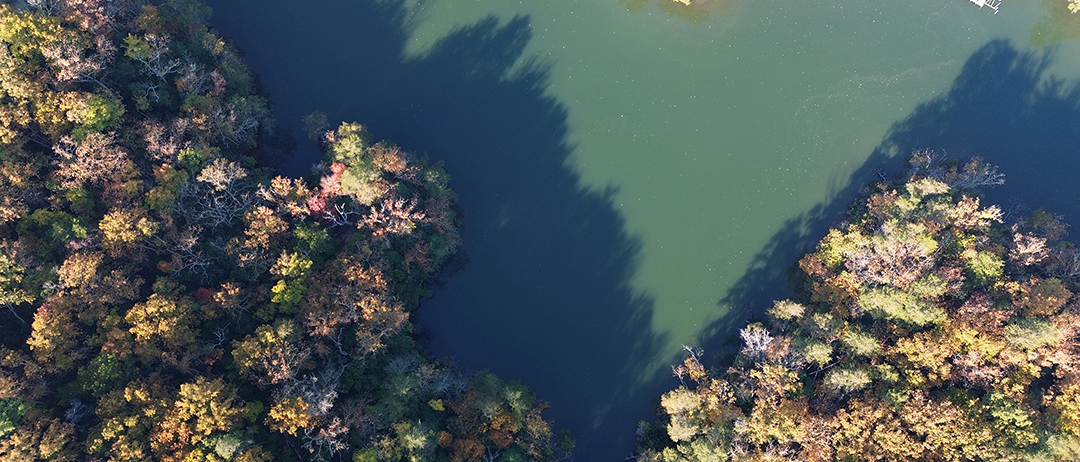 Old Glebe Point Road – Commonwealth Land