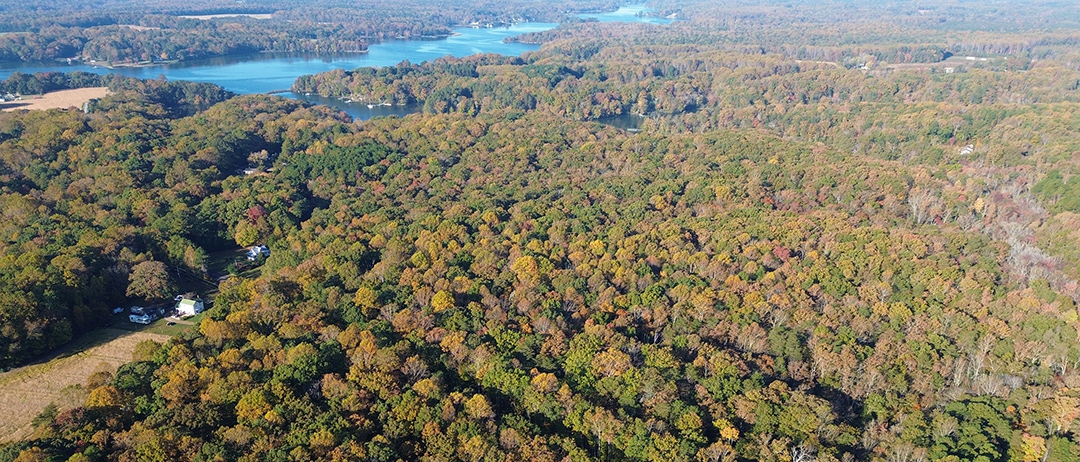 Old Glebe Point Road – Commonwealth Land