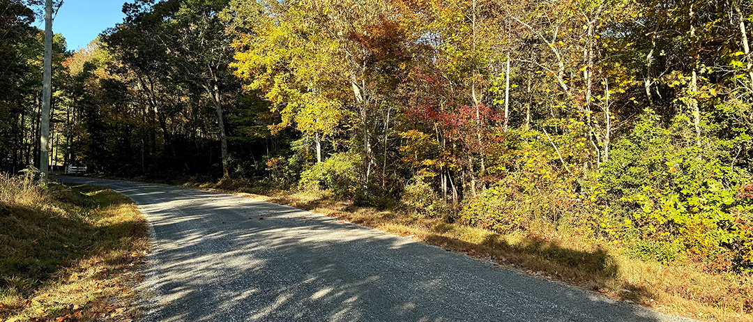 Old Glebe Point Road – Commonwealth Land