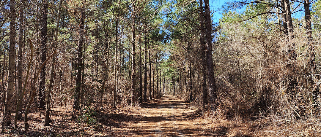 Sandy Ridge Drive – Commonwealth Land