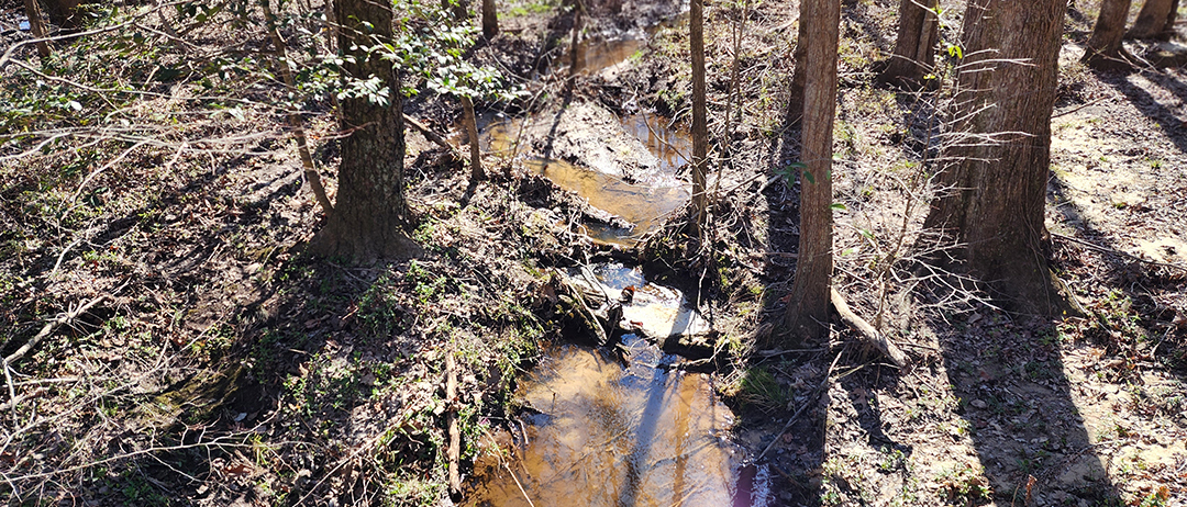 Sandy Ridge Drive – Commonwealth Land