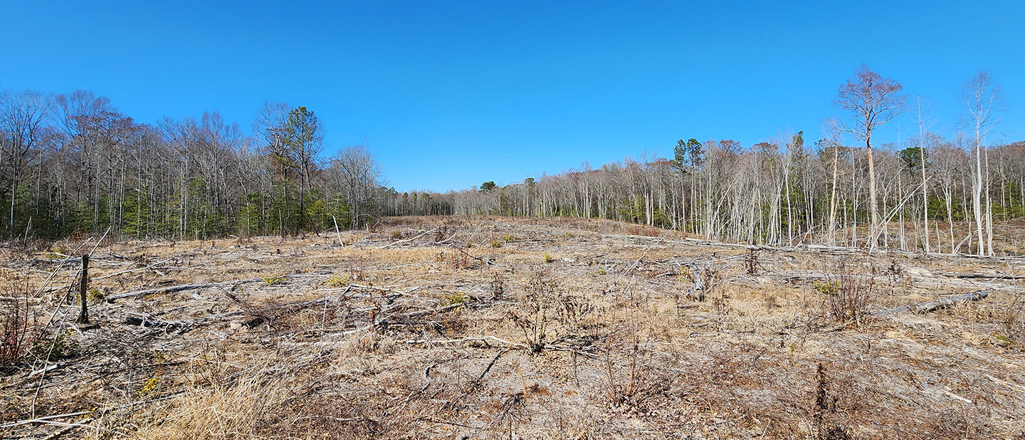 Sandy Ridge Drive – Commonwealth Land