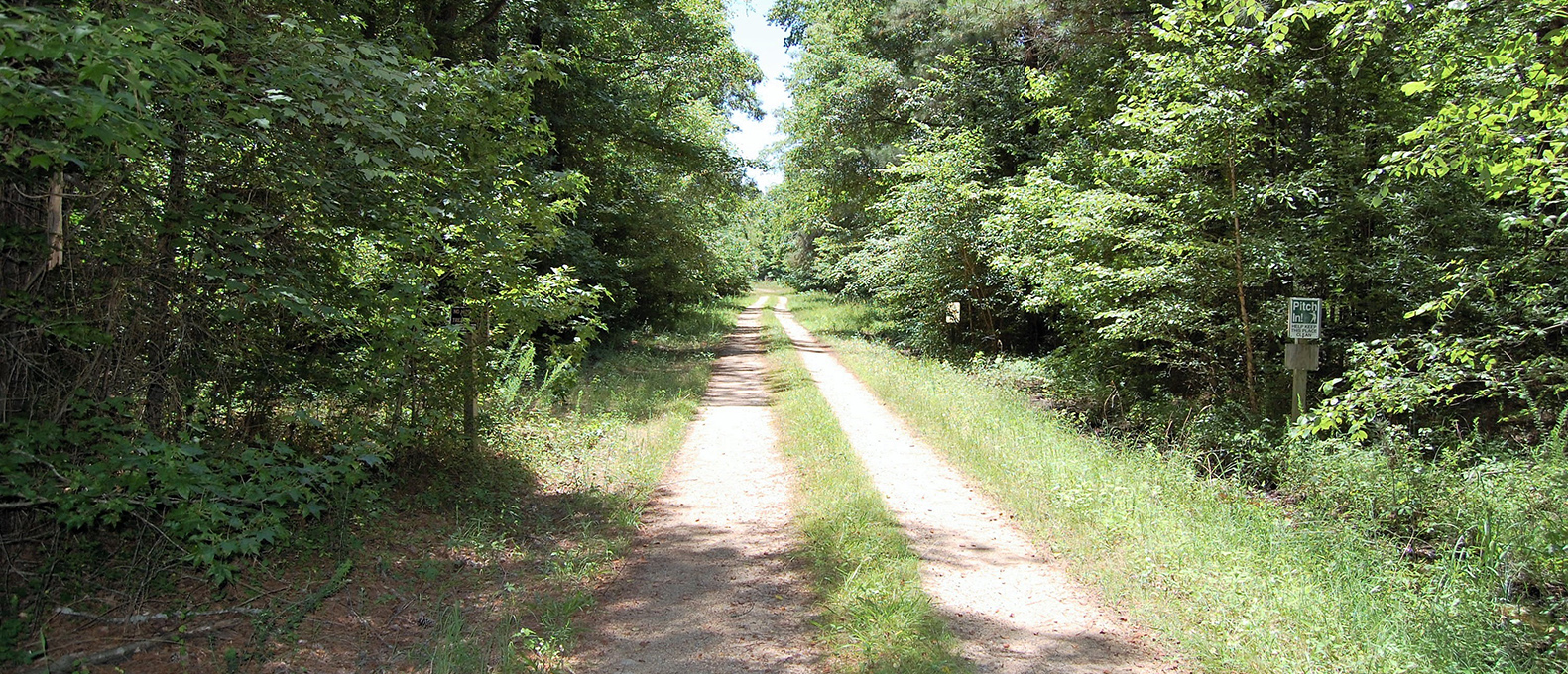 Whitehead Road – Commonwealth Land