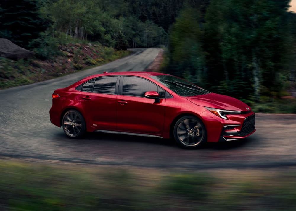 2024 Toyota Model Lineup and Comparisons